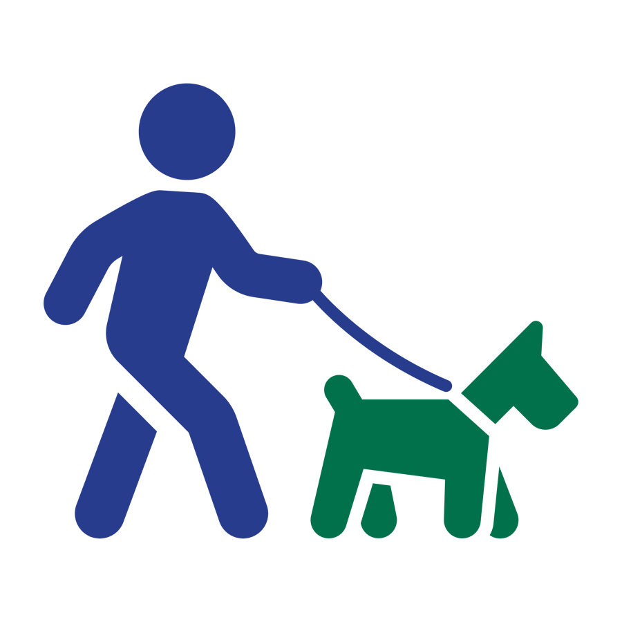 The Positive Impact of Dogs in the Office Environment | AirFixture